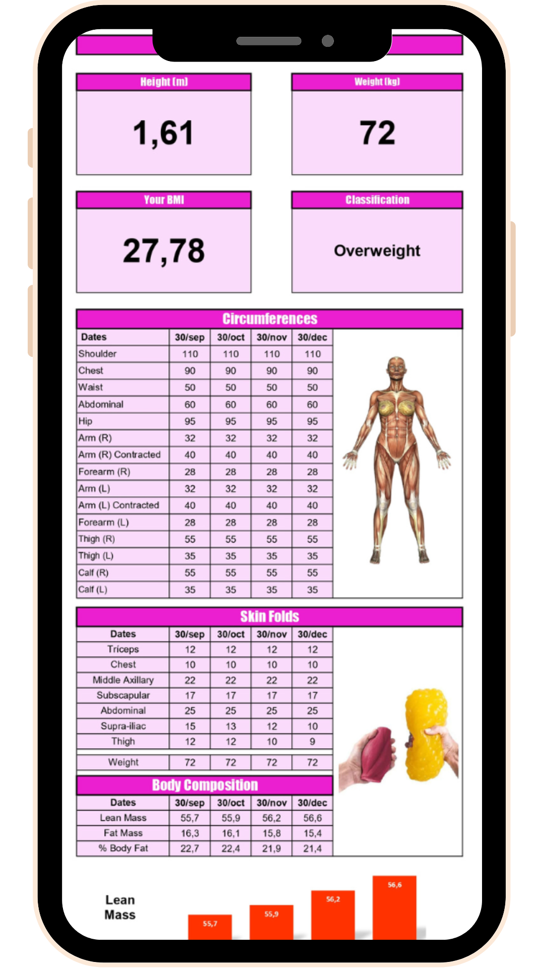 Physical Assessment Spreadsheet